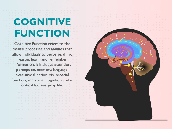 The Neuroscience of Space: Brain and Design Connections