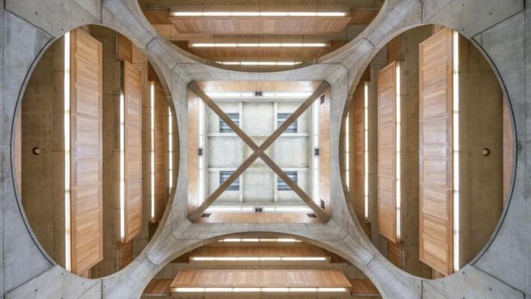 The Science of Perception: How Gestalt Principles Influence Us